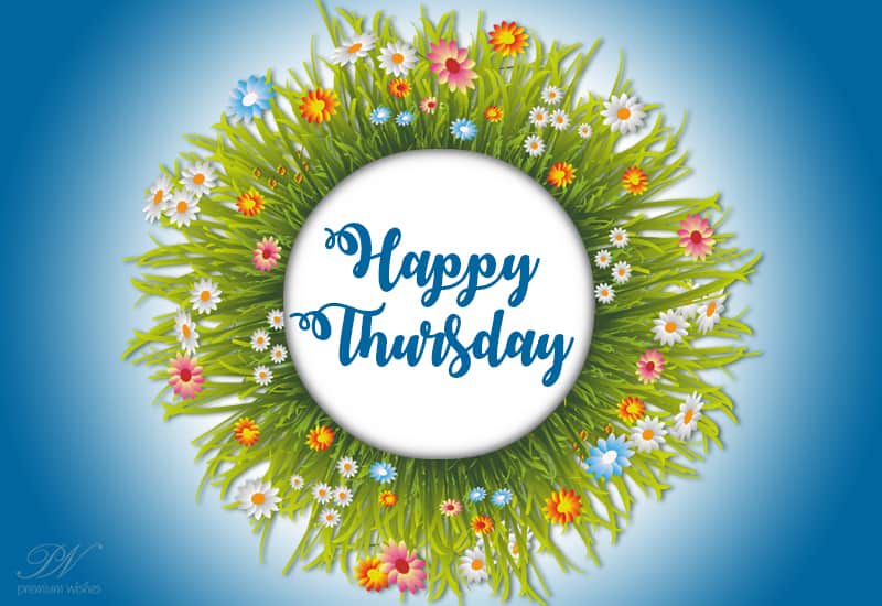Happy Thursday Friends - Enjoy the chill - Premium Wishes
