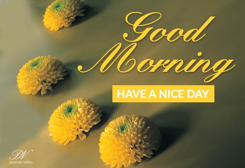 Good Morning Friends - Stay Home - Stay Safe - We will win - Premium Wishes