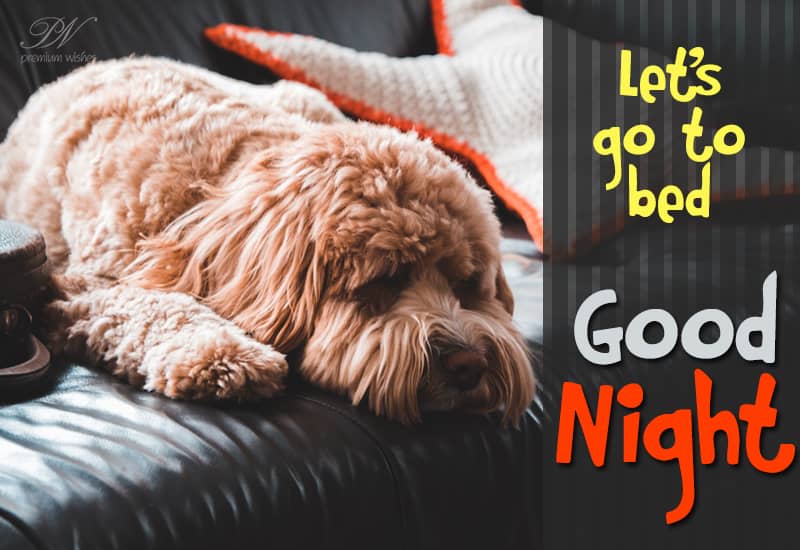 Good Night - Let's go to Bed - Premium Wishes