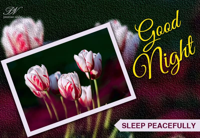 Good Night - Rest Peacefully - Premium Wishes