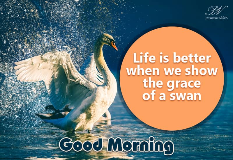 Good Morning Wishes - Premium Wishes