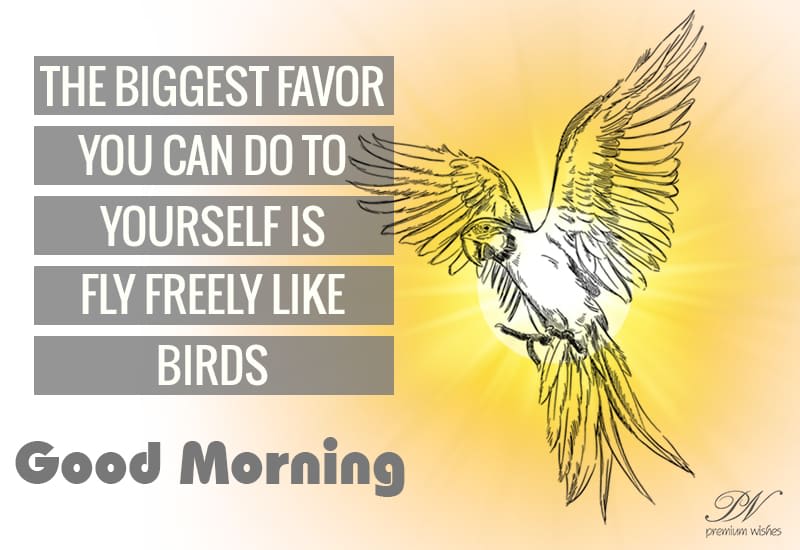 Good Morning - Fly freely like birds - Premium Wishes