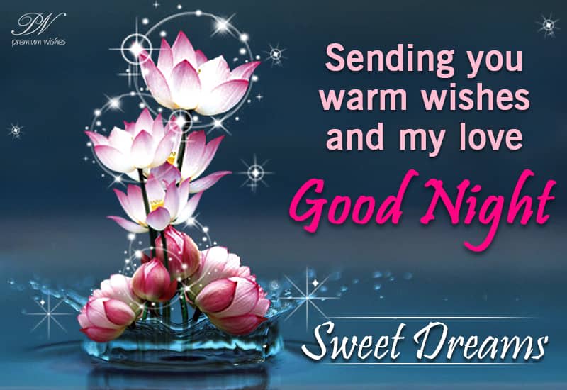 Good Night - Sending you warm wishes and love - Premium Wishes