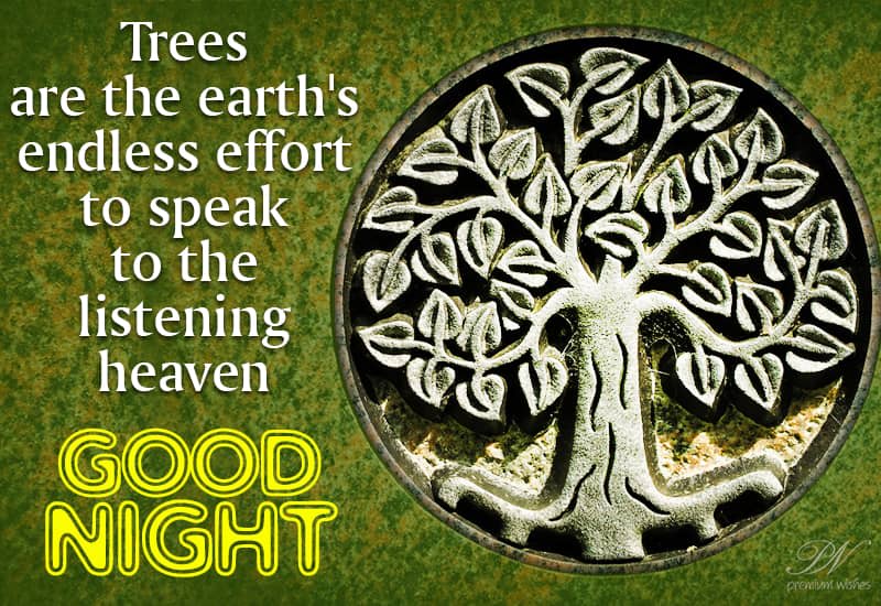 Good Night - Trees are the Earth's endless effort to speak to the ...