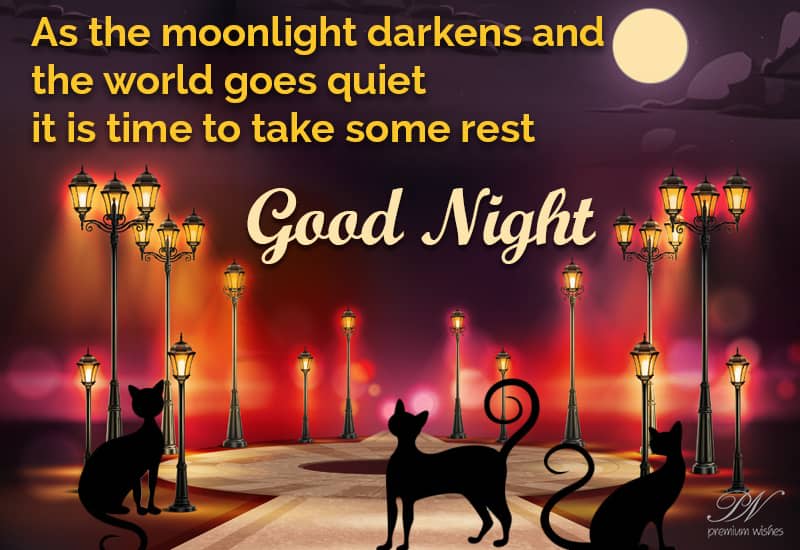 Good Night - It is time for rest - Premium Wishes
