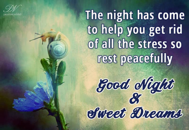 Good Night - Get Rid Of All Stress - Premium Wishes
