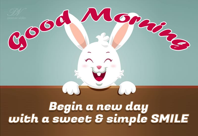 Begin your day with a sweet and simple SMILE - Good Morning - Premium ...