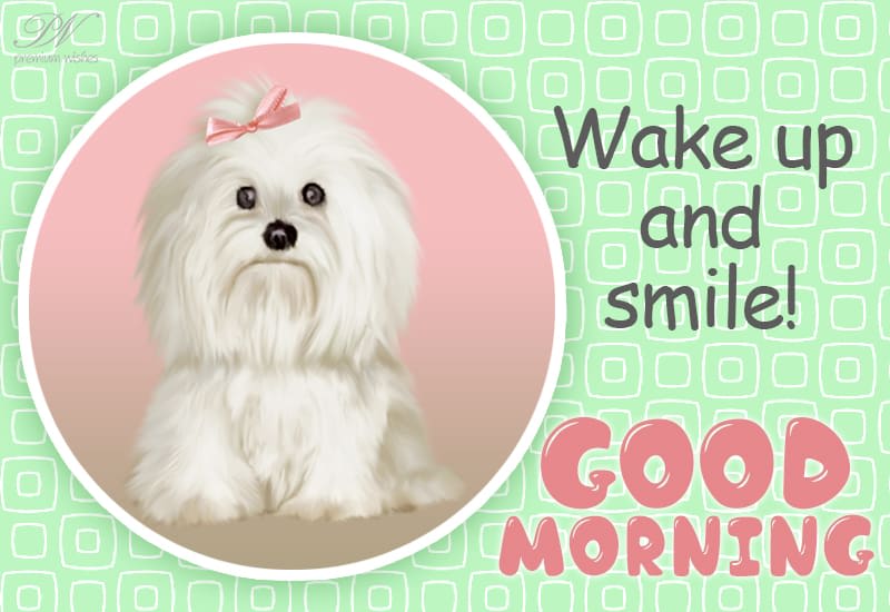 Good Morning - Wake up and Smile - Premium Wishes