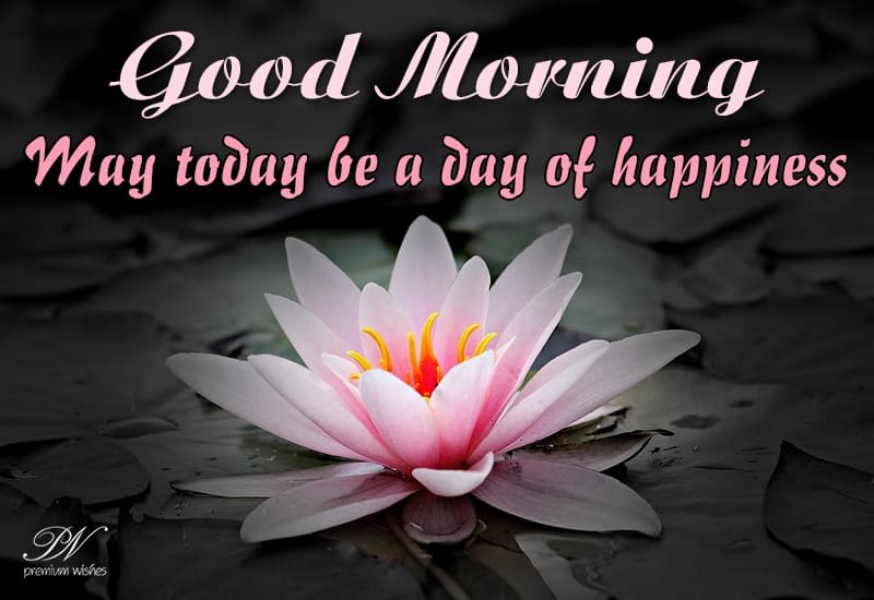 Good Morning - May today be a day of happiness - Premium Wishes