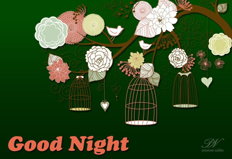 Good Night - Enjoyed the weekend? - Premium Wishes