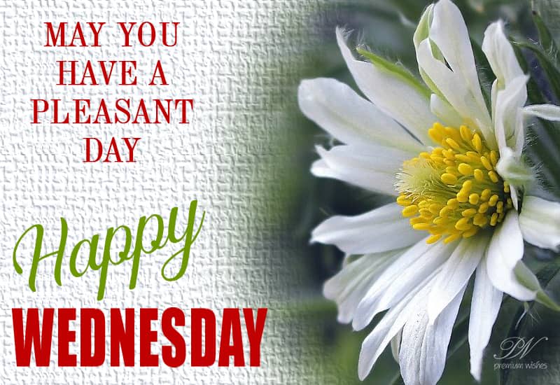 Happy Wednesday - Life is one time, use it well - Premium Wishes