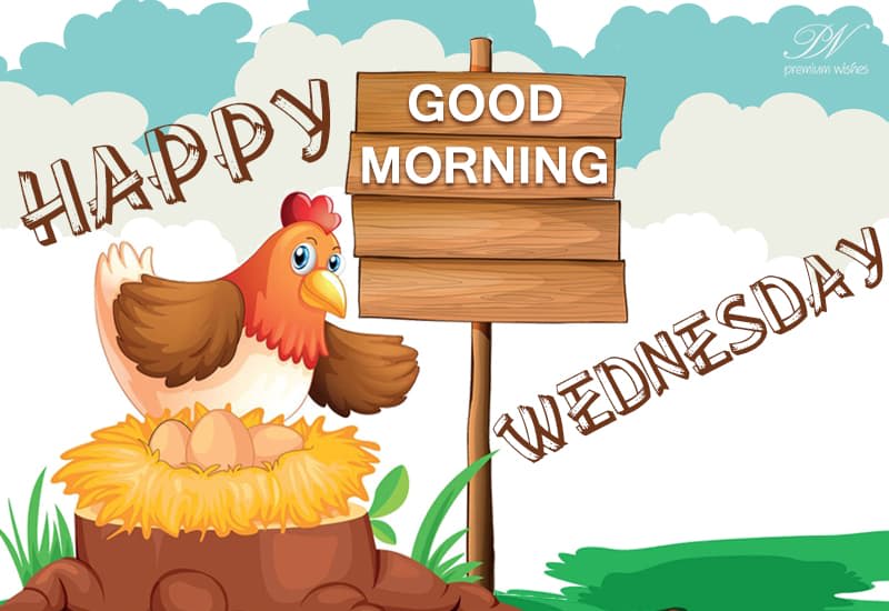 Weekday Wishes - Page 26 of 61 - Premium Wishes