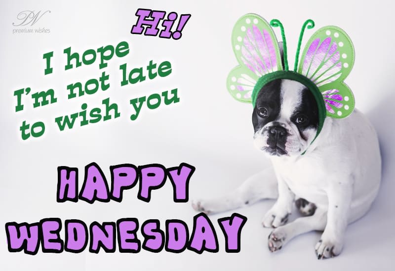I hope I'm not late in wishing you Happy Wednesday - Premium Wishes