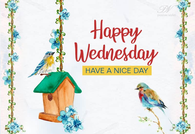 Hap Happy Wednesday - Premium Wishes