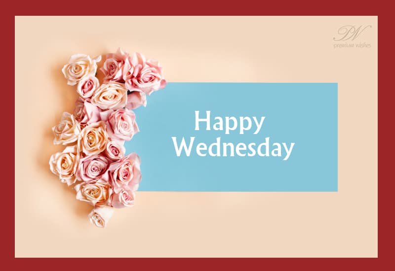 Have a nice Wednesday - Premium Wishes