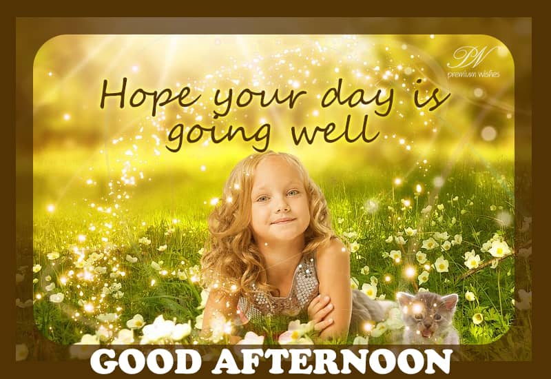 Good Afternoon - Hope your day is going well - Premium Wishes