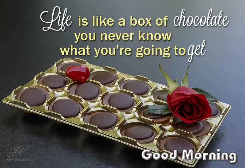 Good Morning - Life is like a box of chocolates - Premium Wishes