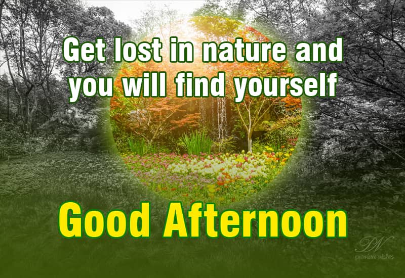 Good Afternoon - Get Lost In Nature - Premium Wishes