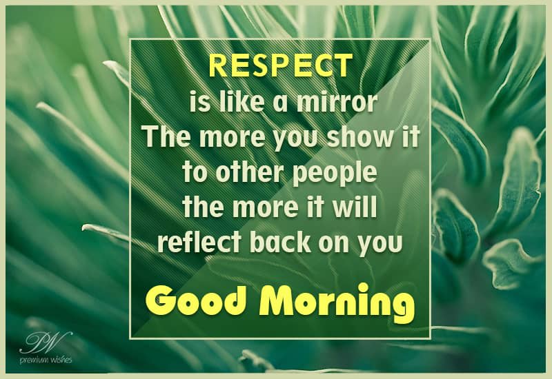 Good Morning - Respect everyone - Premium Wishes