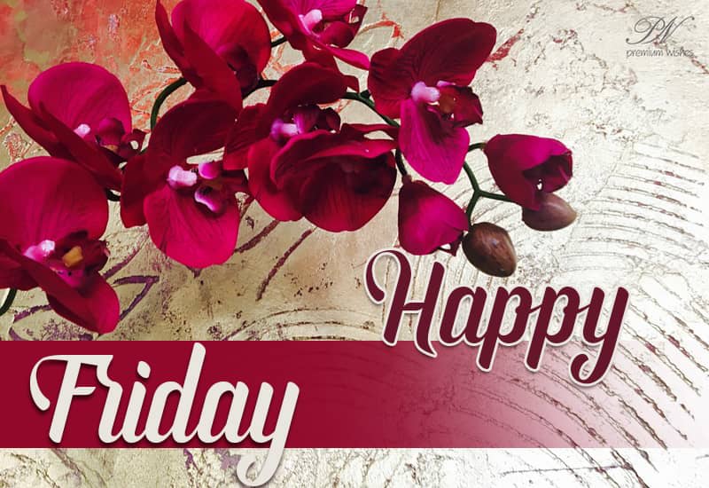 Happy Friday - Welcome the weekend? - Premium Wishes