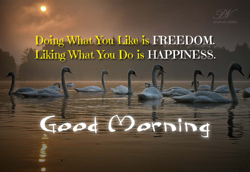 Good Morning - Freedom and Happiness - Premium Wishes