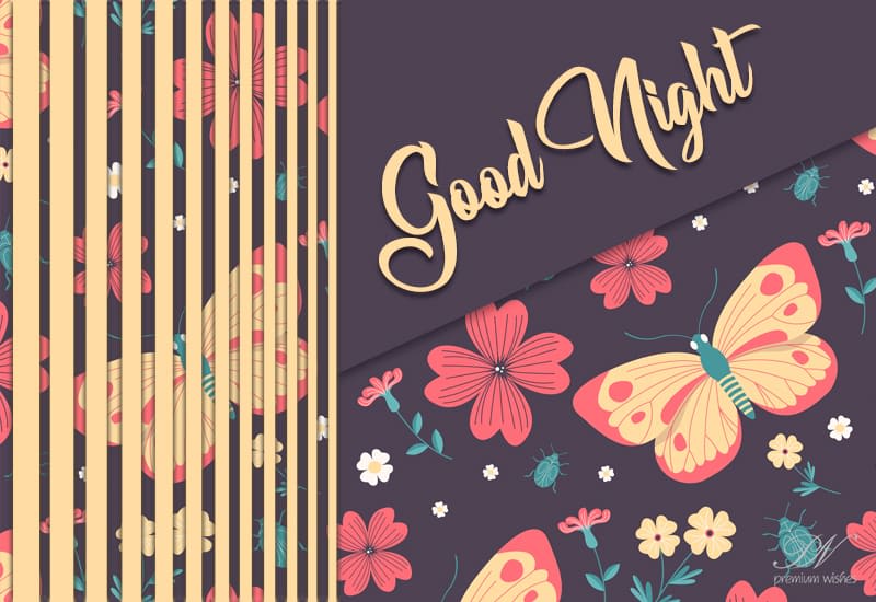 Good Night Everyone - Stay safe - Premium Wishes