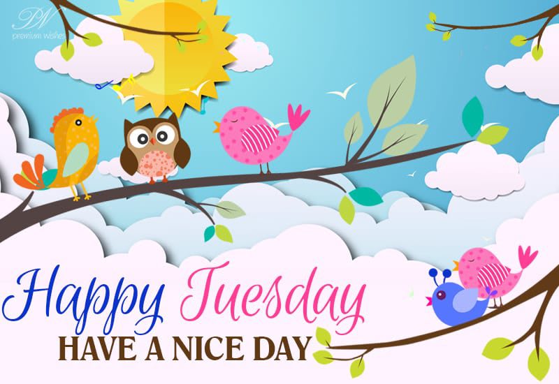 Happy Tuesday - Have a nice day with joyous moments - Premium Wishes