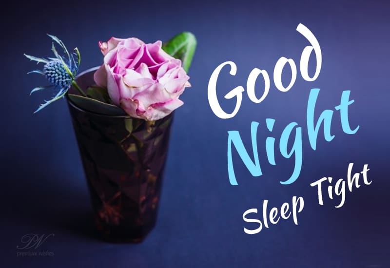 Sleep Tight Friends - Good Night - Premium Wishes