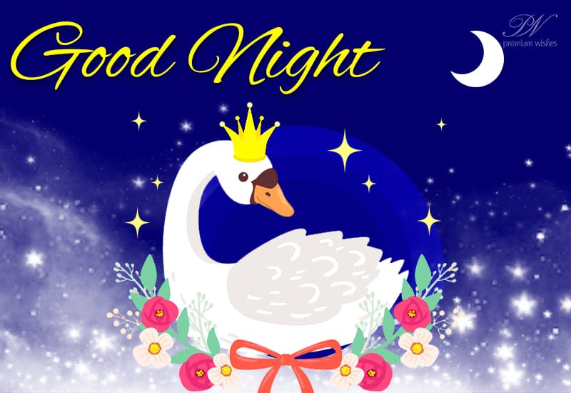 Good Night - Stay Cool and Safe - Premium Wishes