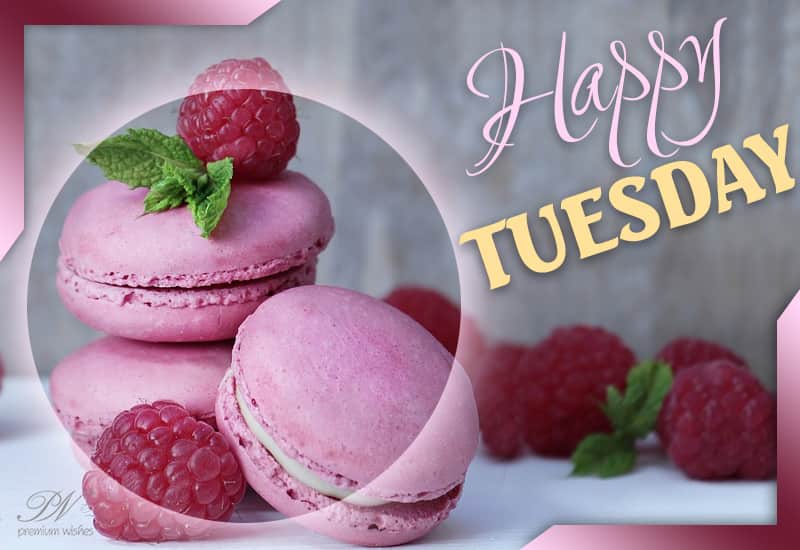 Happy Tuesday - Enjoy Some Sumptuous Food Today - Premium Wishes