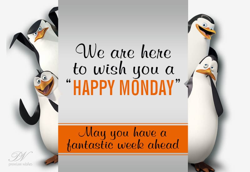 Happy Monday - May you have a fantastic week ahead! - Premium Wishes