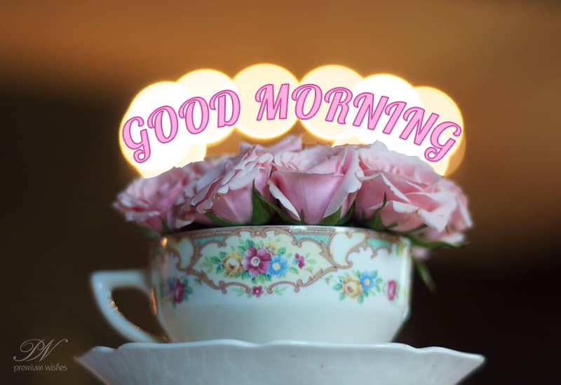 Good Morning Wishes with flowers - Premium Wishes