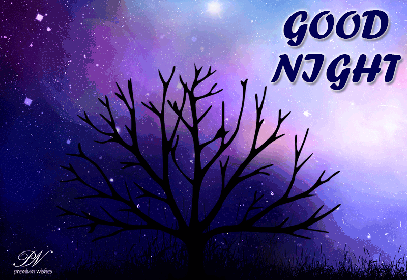 Good Night Dear - Premium Wishes
