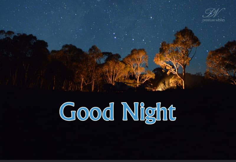 Good Night - Enjoy The Cool Weather - Premium Wishes