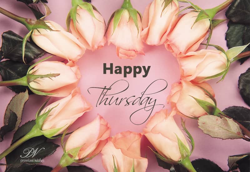 Happy Thursday - Bright and Sunny - Premium Wishes