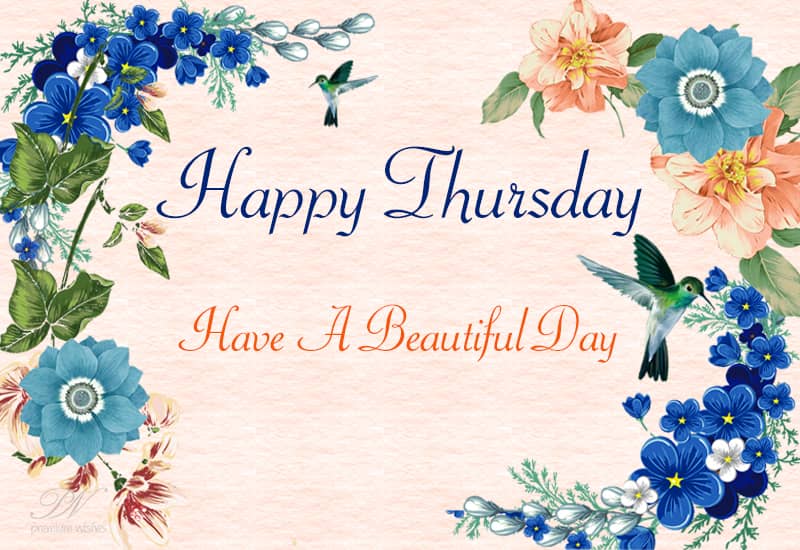 Happy Thursday - Have a beautiful day - Premium Wishes