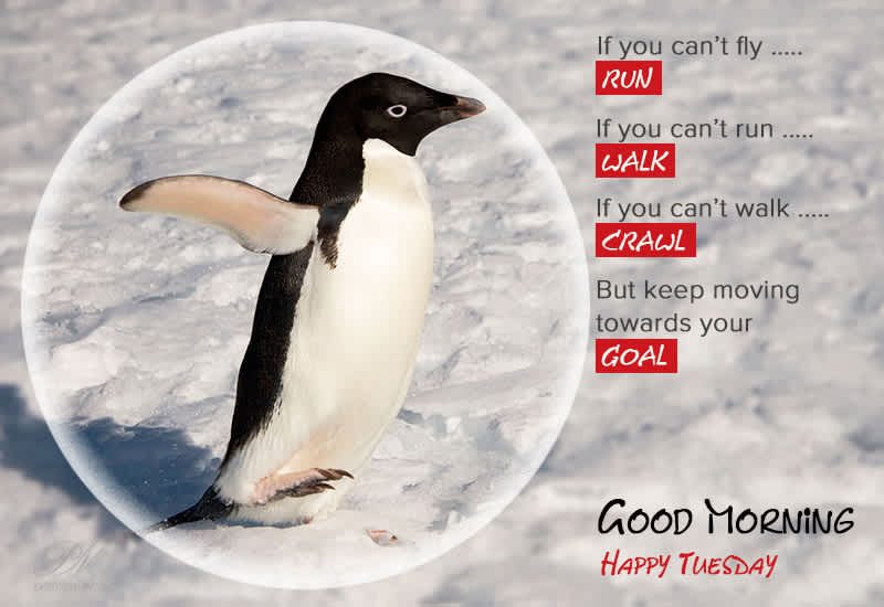 Keep moving towards your goal - Happy Tuesday - Premium Wishes