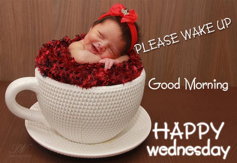 Wake up - Happy Wednesday - Premium Wishes