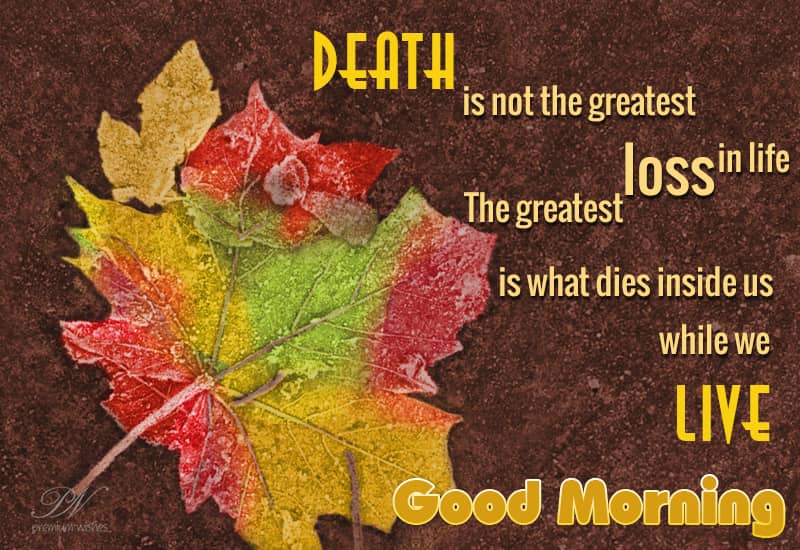 Good Morning Messages - Premium Wishes