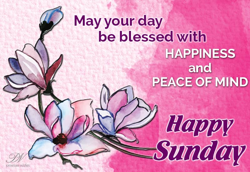 May your day be blessed-Happy Sunday - Premium Wishes