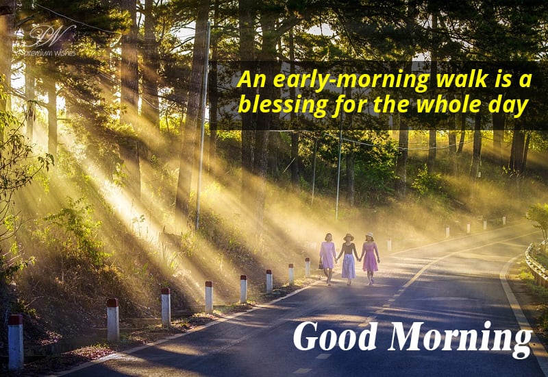 Early morning walk sets up your day Good Morning - Premium Wishes