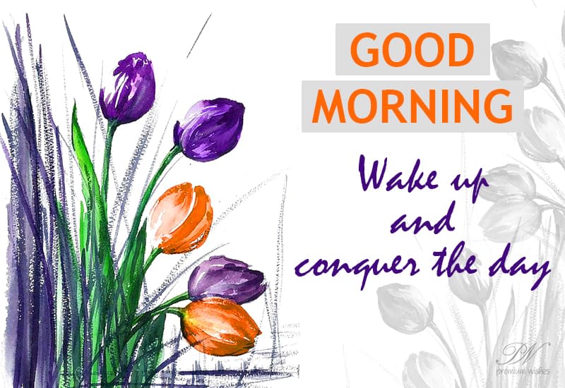 Good Morning - Wake up and conquer the day - Premium Wishes
