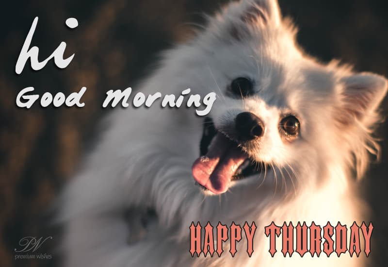 Thursday Wishes - Page 8 of 9 - Premium Wishes