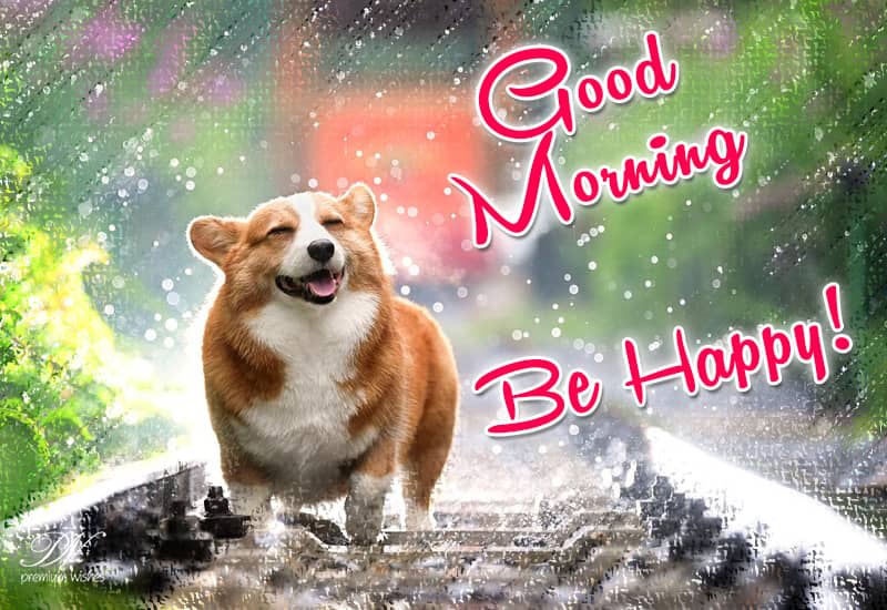 Good Morning - Be Happy Friends - Premium Wishes