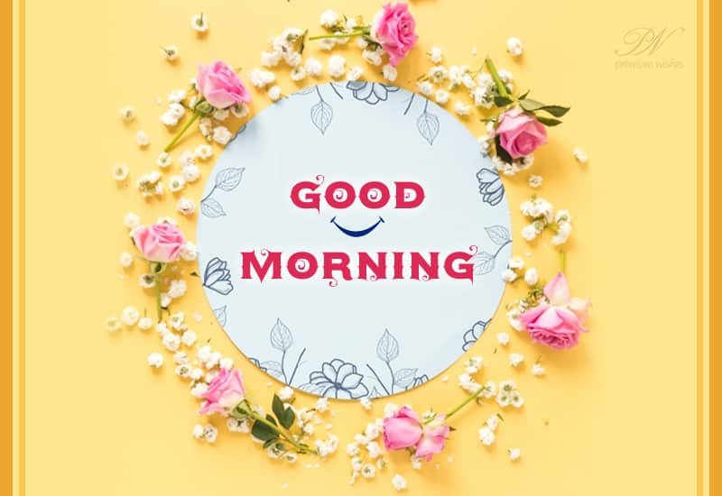 Good morning Welcome The Day - Premium Wishes