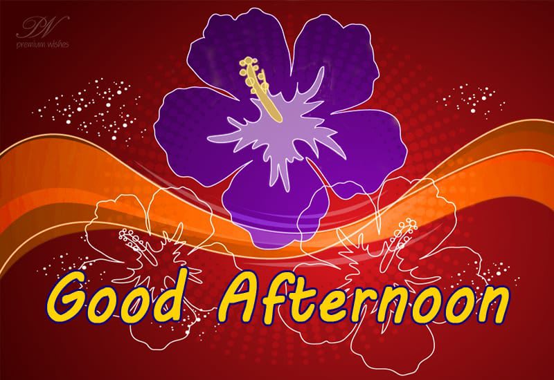 Good Afternoon - Enjoy The Vibrant Colours Of The Noon - Premium Wishes
