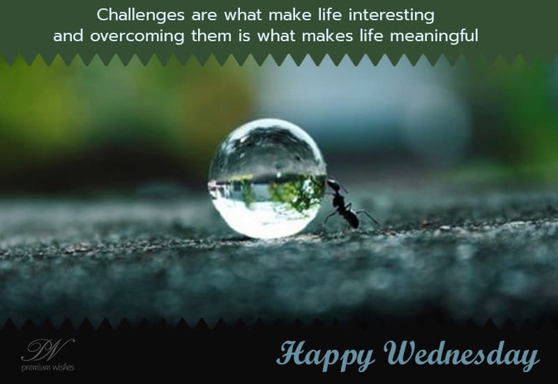 Happy Wednesday Images For WhatsApp - Premium Wishes