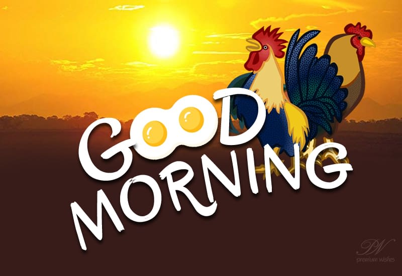 Enjoying the cool weather? Good Morning - Premium Wishes