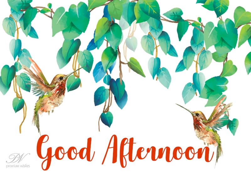 Good Afternoon - Enjoy the Afternoon - Premium Wishes