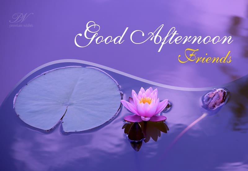 Good Afternoon Friends - Enjoy Nature - Premium Wishes
